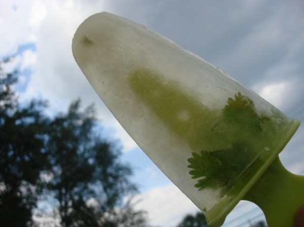 Vice Pops – frosty treats with a splash of mischief | Hot, Cheap & Easy